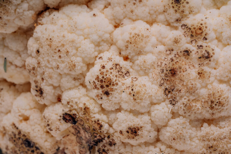 How To Tell If Cauliflower Is Bad (Cauliflower Rice) - Remake My Plate